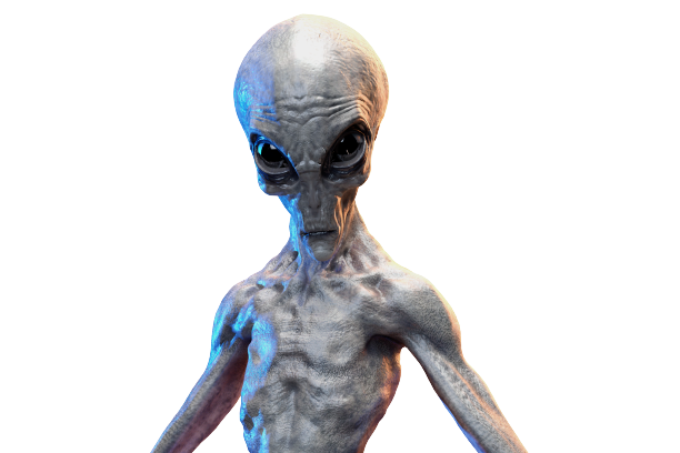 Feminized Seeds | Starr Lit Genetics