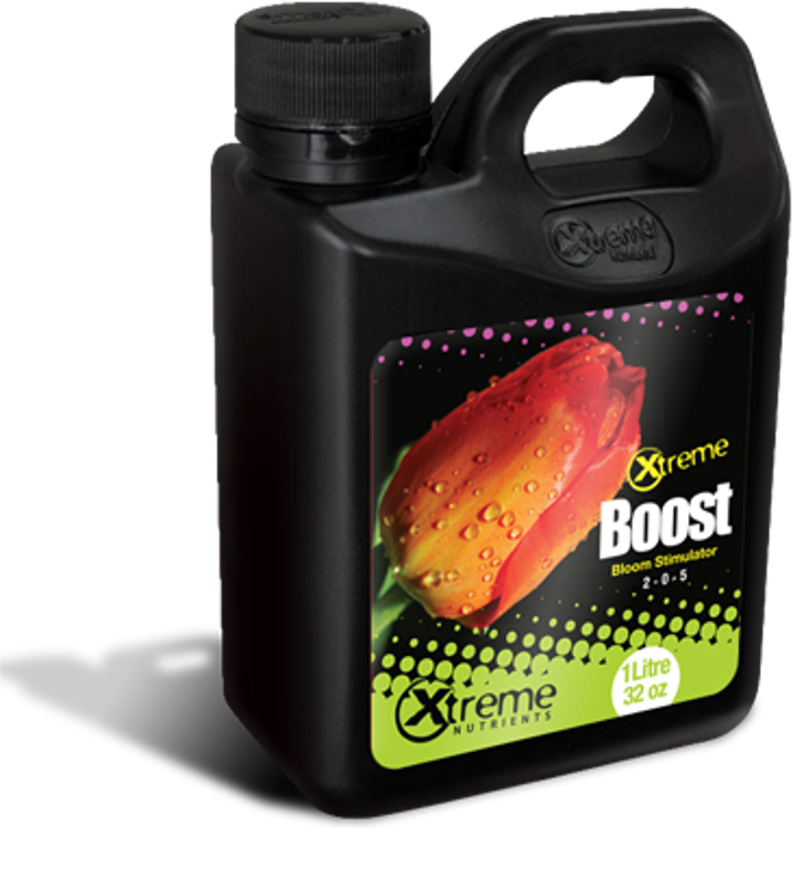 Xtreme Boost 16 oz